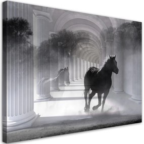 Obraz na plátně, Běh 3D koně - 120x80 cm