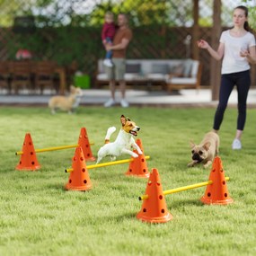 PawHut Agility set pro psy 3-dílné vybavení pro výcvik psů Zásuvná sada překážek se 6 kužely 3 překážky Přepravní taška D07-059V00OG