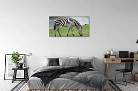 Obrazy na plátně zebra 120x60 cm