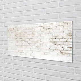 akrylový obraz Cihlové zdi wall 100x50 cm