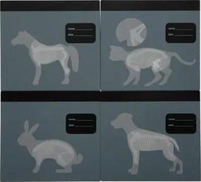 small foot Plyšový králíček s pečovatelskou veterinární sadou