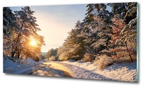 Wallmuralia Fotoobraz na skle Cesta v lese zima 100x50