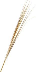 XXXLutz DEKORAČNÍ VĚTVIČKA bezosetka 85 cm - Umělé květiny - 0041771512