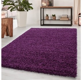Ayyildiz koberce Kusový koberec Dream Shaggy 4000 lila Rozměry koberců: 65x130