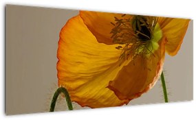 Žlutá květina - obraz (100x40cm)