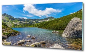 Wallmuralia Fotoobraz na skle Údolí Tatry 100x50