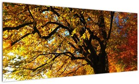 Obraz podzimní krajiny (100x40cm)