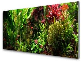 Obraz na skle Rostlina Květiny Příroda 120x60 cm
