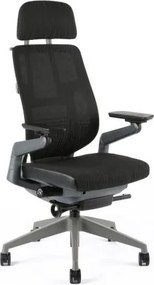 Office Pro Kancelářská ergonomická židle KARME MESH — více barev Černá A10