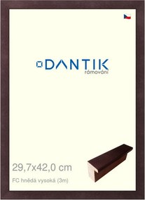 DANTIK rámeček 29,7x42 | FC hnědá vysoká (Plexi Čiré)