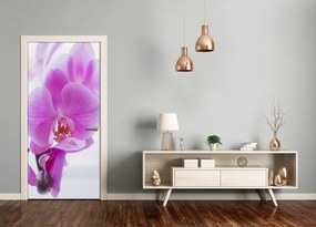 Fototapeta na dveře Růžová orchidej 95x205 cm