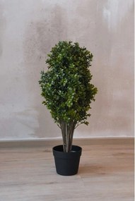 Umělý buxus BUXA, plast, výška 70 cm, zelený