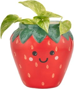 Keramický obal na květináč ø 10 cm Strawberry – Sass &amp; Belle