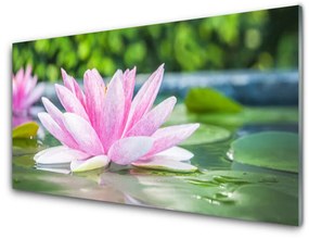 Obraz na skle Vodní Lilie Rybník Příroda 120x60 cm
