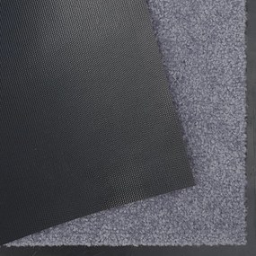 Hanse Home, Rohožka Wash & Clean 101464 Grey, 40x60, šedá, chodba / předsíň