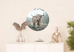 Samolepící vliesová fototapeta na zed' Majestátný Skot | 70 x 70 cm | DCR3229