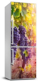 Wallmuralia Nálepka na ledničku Příroda vinice 60x180 cm