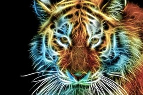Obraz hlava tygra v abstraktním provedení - 60x40 cm
