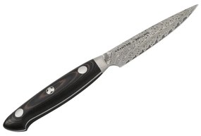 Zwilling Kramer Euroline nůž špikovací 10 cm, 34890-101