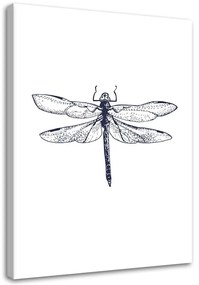 Obraz na plátně Vážka Hmyz Příroda - 70x100 cm