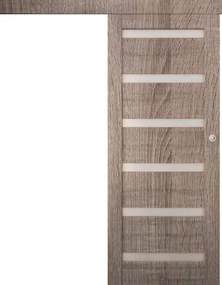 posuvné interiérové dveře na stěnu vasco doors EVORA model 5 Průchozí rozměr: 70 x 197 cm, Orientace dveří: Levé dveře, Dekor: Dub šedý