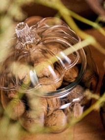 Sinsay - Skleněná nádoba na potraviny ve tvaru dýně - clear
