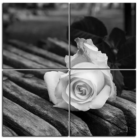 Obraz na plátně - Bílá růže na lavici - čtverec 3224QE (60x60 cm)