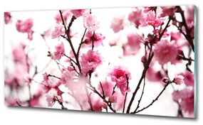 Wallmuralia Foto obraz sklo tvrzené Květ švestky 100x50