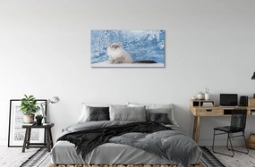 Obrazy na plátně kočka zima 125x50 cm