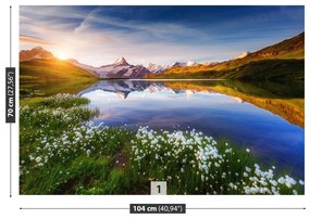 Fototapeta Hora Schreckhorn