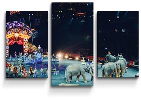 Sablio Obraz - 3-dílný Cirkus - 75x50 cm