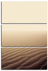 Obraz na plátně - Písek v poušti - obdélník 7127B (120x80 cm)