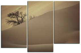 Obraz na plátně - Červené písečné duny 1133FD (120x80 cm)