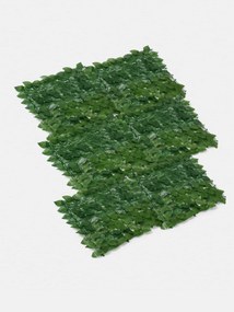 Sinsay - Nástěnný rostlinný panel 6 pack - zelená