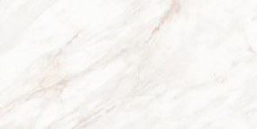 Mexen Forever Grey glazovaný rekt. G1, dlaždice podlahová-stěnová 120 x 60 cm, lesk - TL139-120-060-00