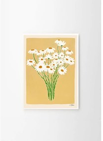 Plakát 30x40 cm Daisies – Carla Llanos – The Poster Club