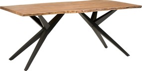XXXLutz JÍDELNÍ STŮL, akácie, černá, barvy vlašských ořechů, 200/100/76 cm P & B - Online Only jídelní stoly - 001630031302