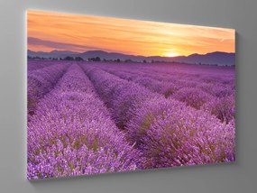 Liox Obraz provence Rozměr: 90 x 60 cm