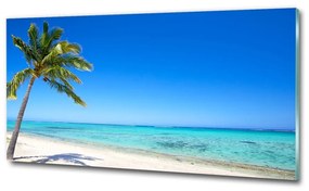 Wallmuralia Fotoobraz na skle Tropická pláž 100x50