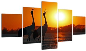 Obraz ptáků při západu slunce (125x70 cm)