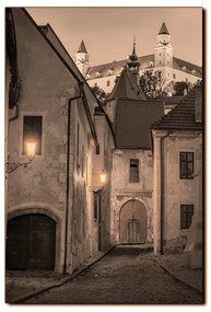 Obraz na plátně - Bratislava staré město s hradem vzadu- obdélník 7265FA (120x80 cm)