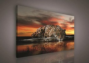 Obraz na plátně jaguár 100 x 75 cm