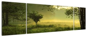 Obraz - Probouzející se les (170x50 cm)