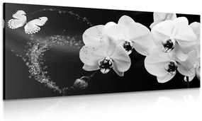 Obraz černobílá orchidej a motýl - 120x60 cm