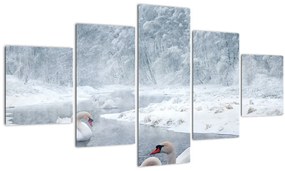 Obraz labutí (125x70 cm)
