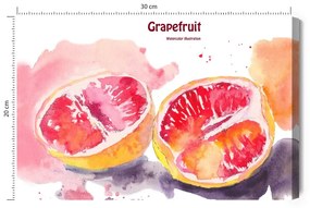 Obraz Grapefruit Malovaný Akvarelem Nedostatek Nedostatek Plátno Canvas 90x60