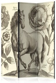 Paraván Horse Dekorhome 135x172 cm (3-dílný)