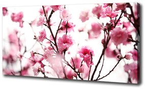 Wallmuralia Foto obraz na plátně do obýváku Květ švestky 100x50