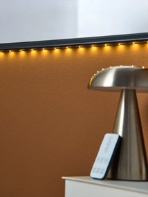 Sinsay - Bílý LED pásek 3 m s dálkovým ovládáním - bílá