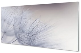 akrylový obraz Kapky rosy pampelišky 100x50 cm